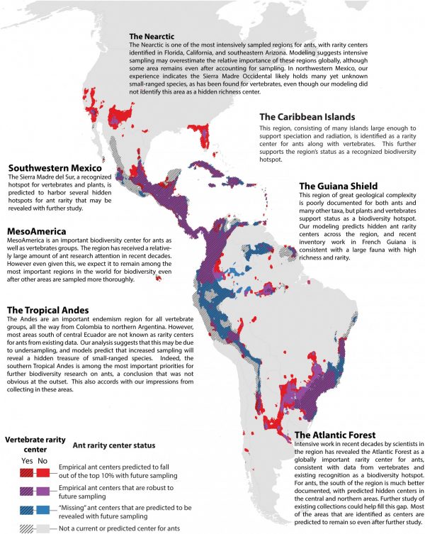 Researchers use AI to create a treasure map of undiscovered ant species ...