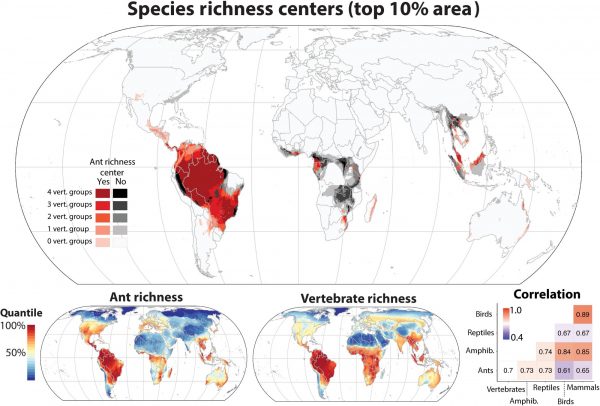 Researchers use AI to create a treasure map of undiscovered ant species ...