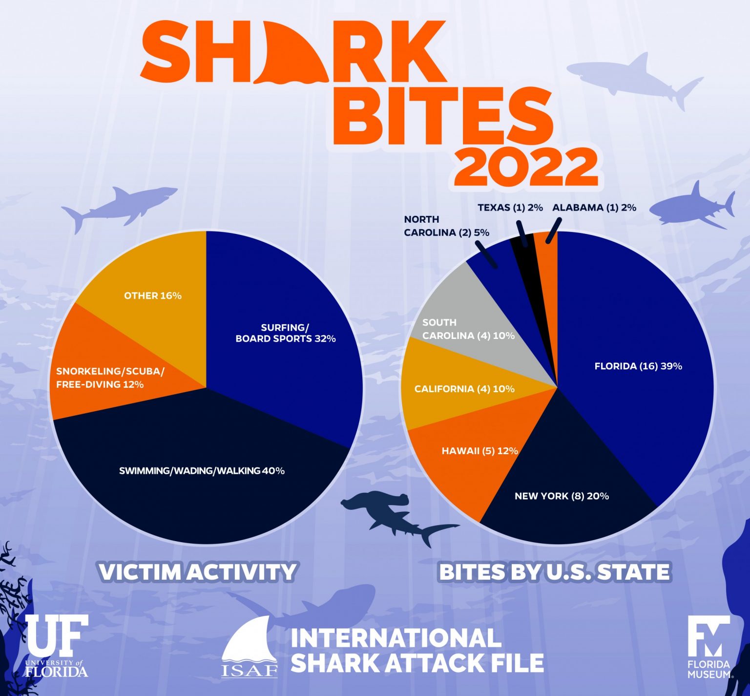 Shark bites tied for 10-year low in 2022 but spiked in regional ...