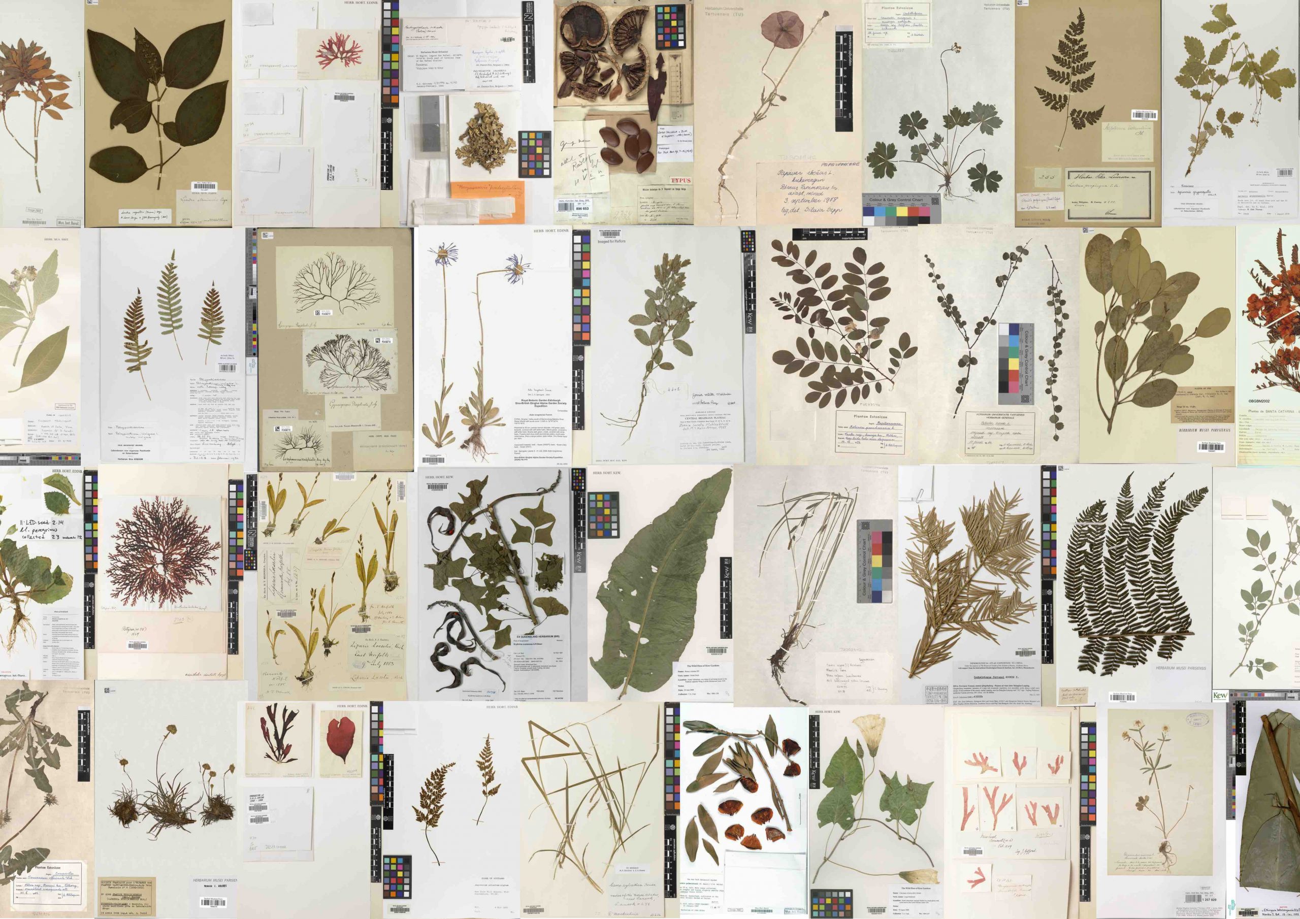 Notes From Nature celebrates 10 years of community science – Research News