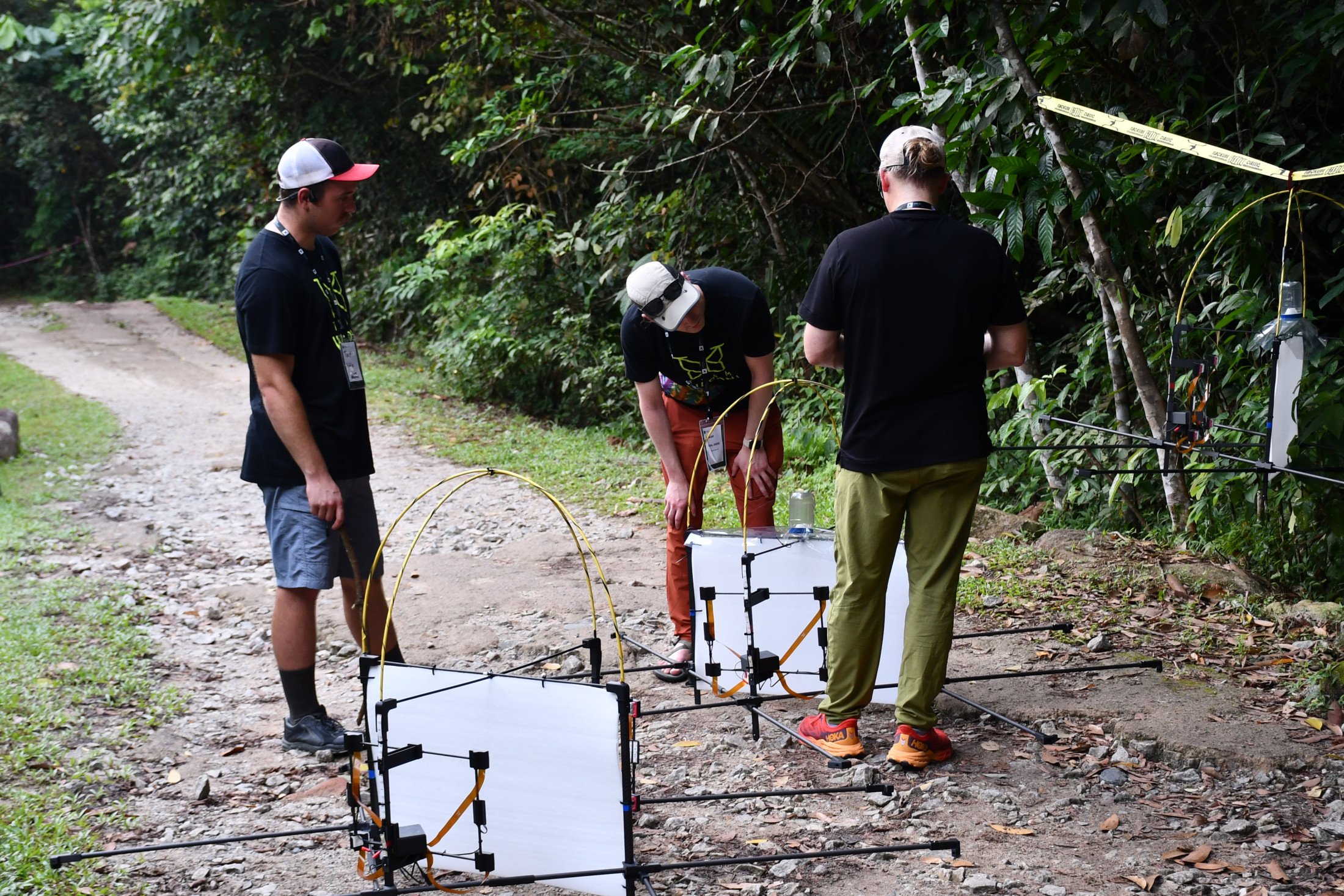 Florida Museum researcher advances to finals in multimillion-dollar ...