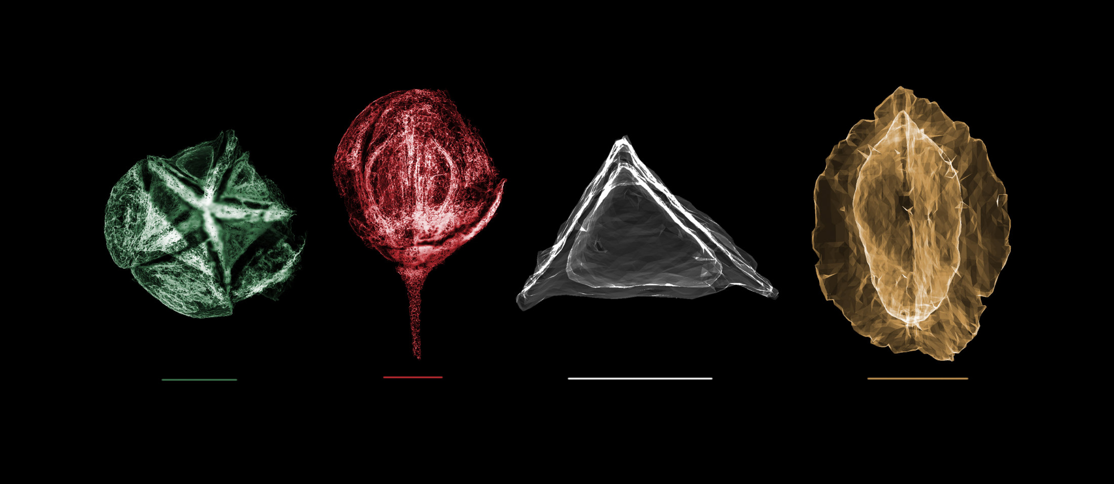 Mysterious fruit shown to be the oldest-known fossils of the ...