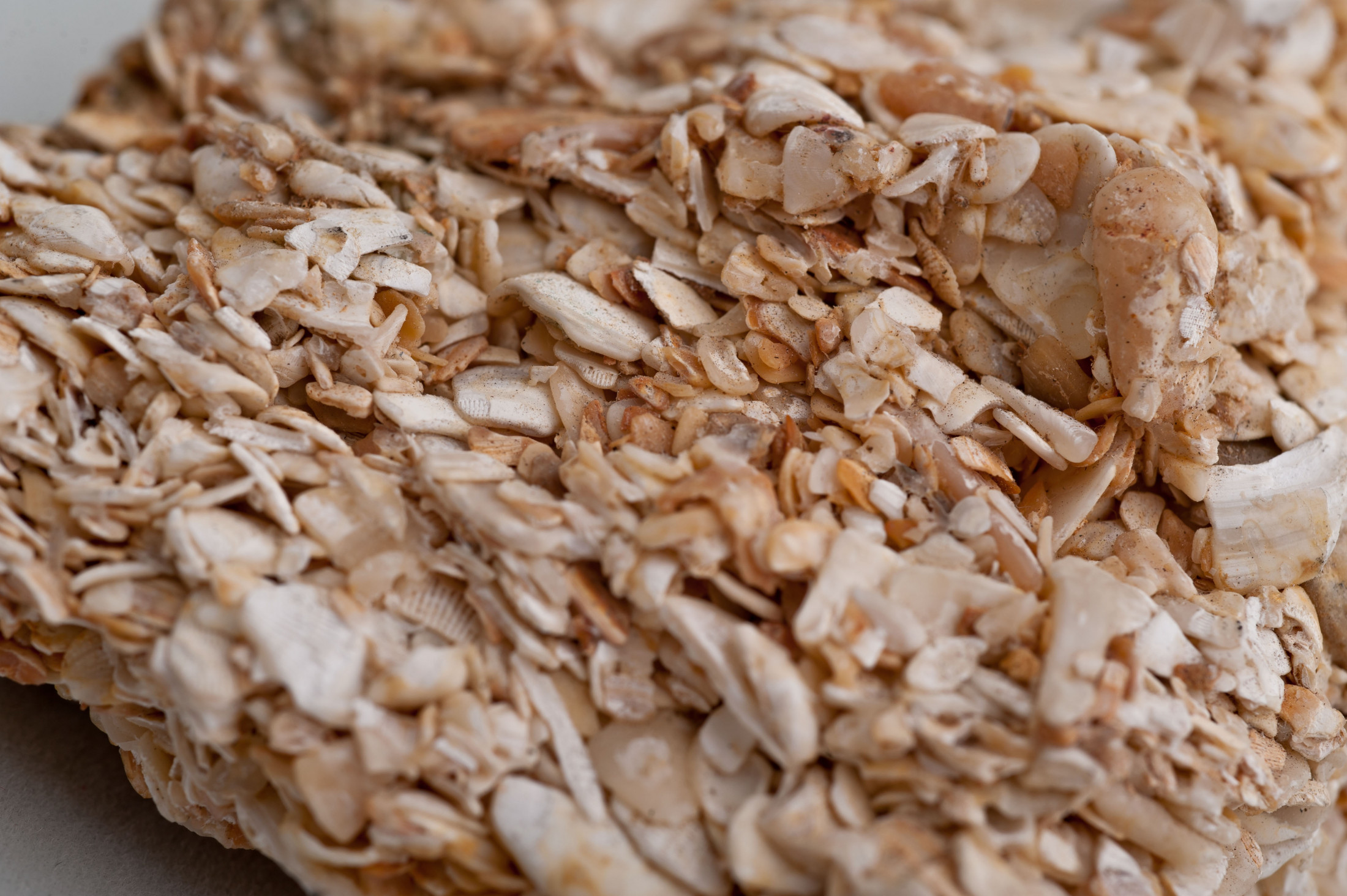 Human activity is making it harder for scientists to interpret oceans ...