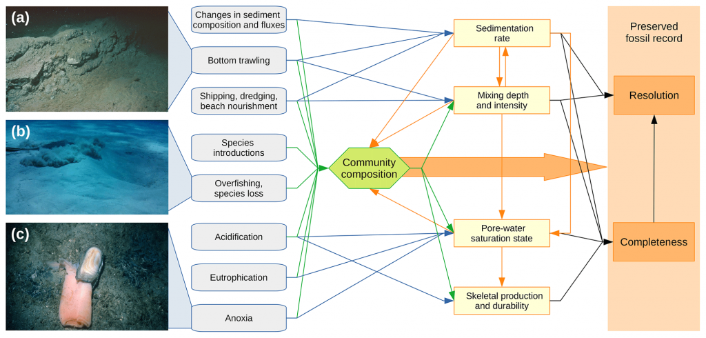 Human activity is making it harder for scientists to interpret oceans ...