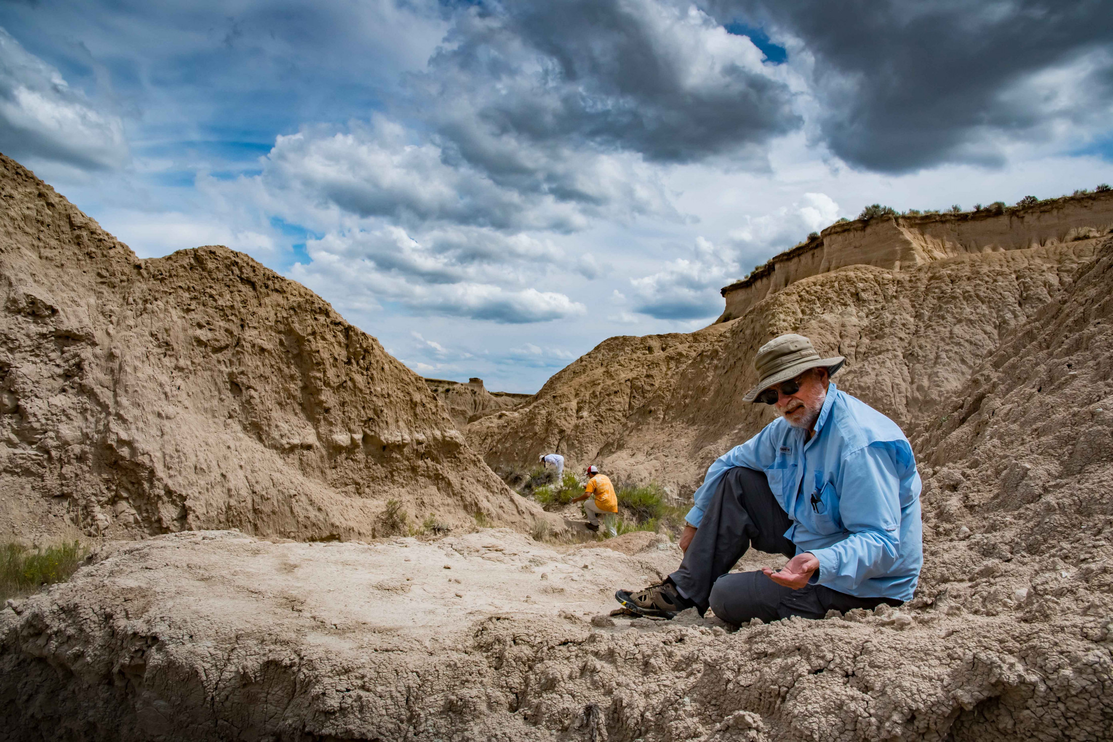 Bruce MacFadden, curator of vertebrate paleontology, retires after 47 ...