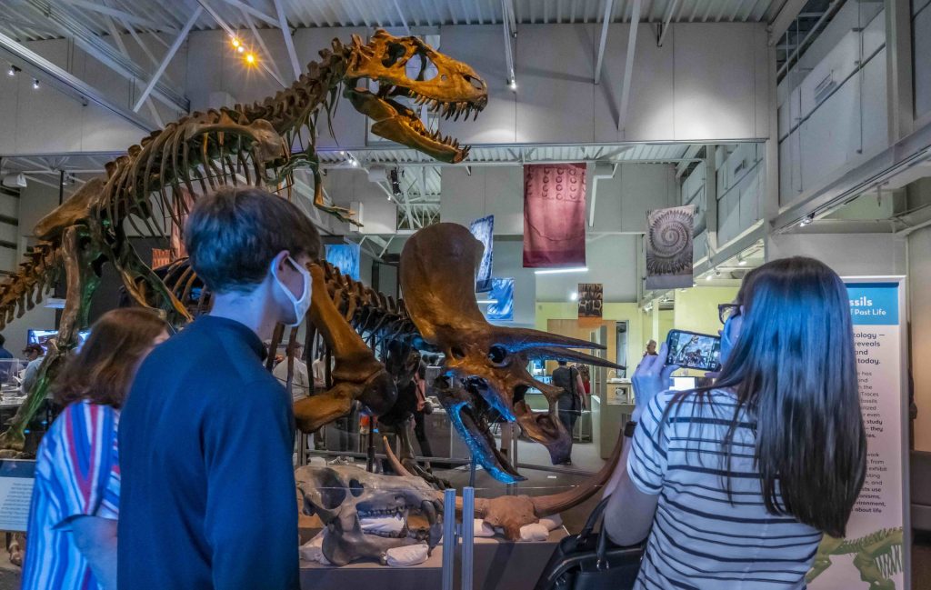 Interactive museum exhibit shows how paleontologists study the past ...