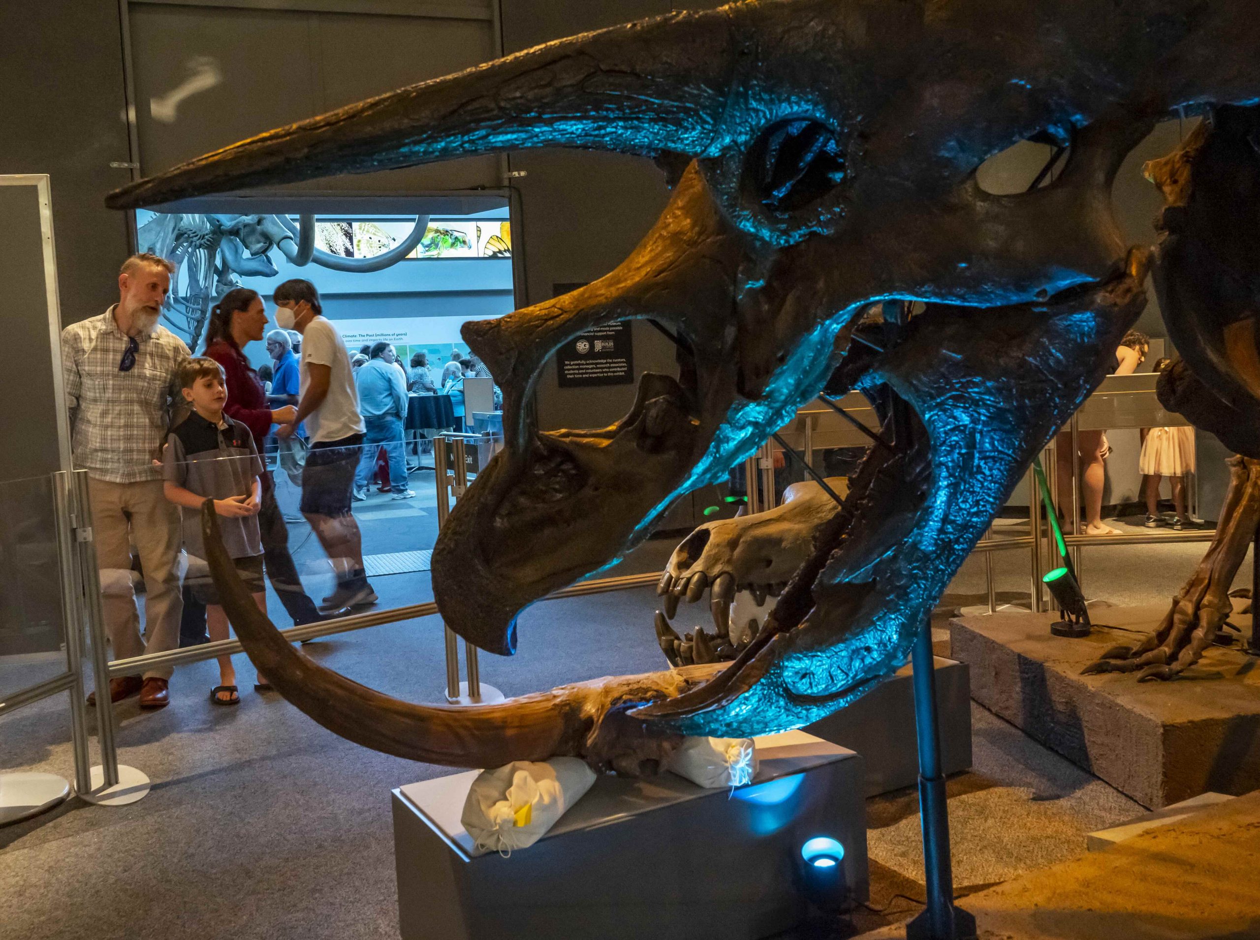 Interactive museum exhibit shows how paleontologists study the past ...