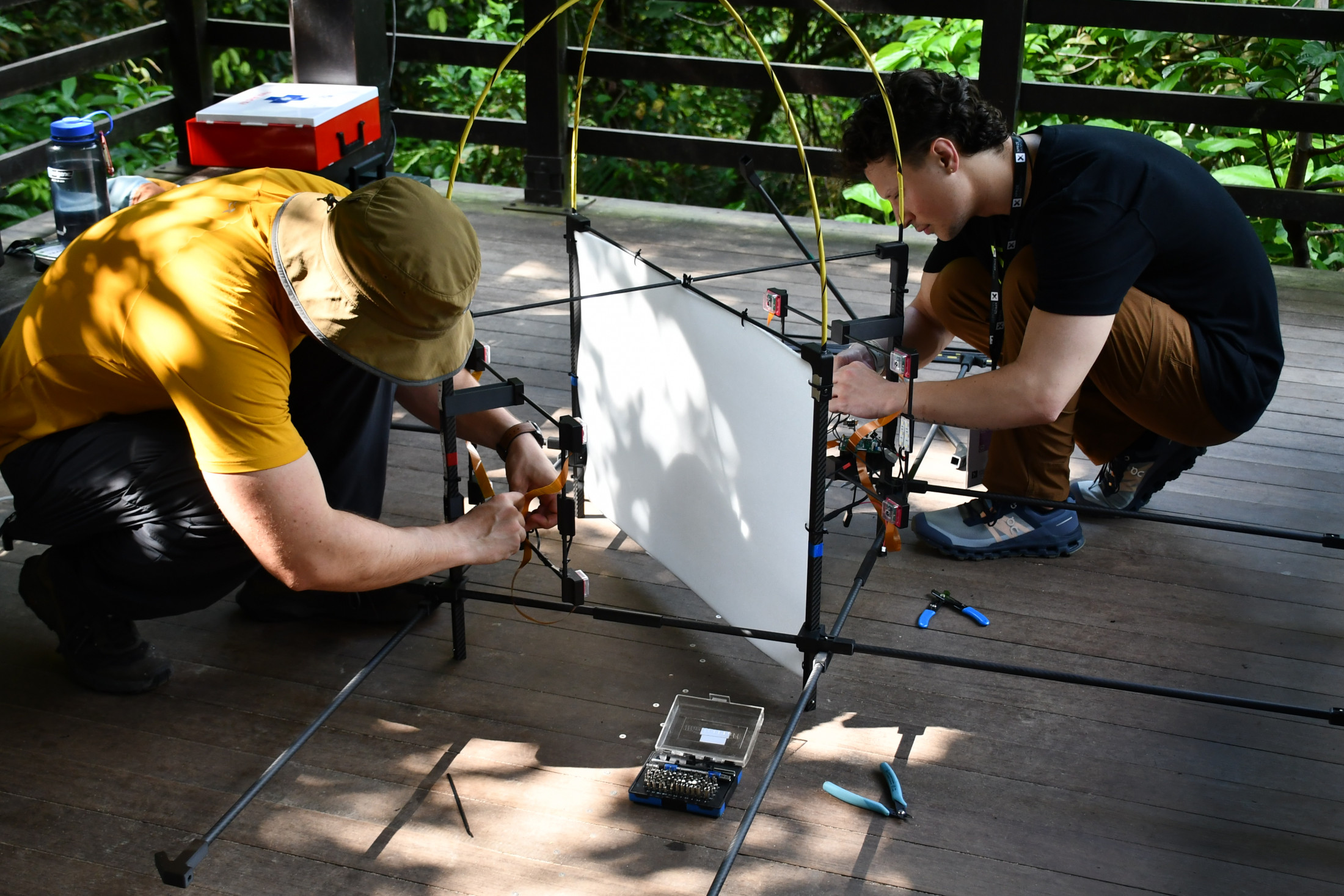 Florida Museum curator helps team score 1st-place and $5 million in ...