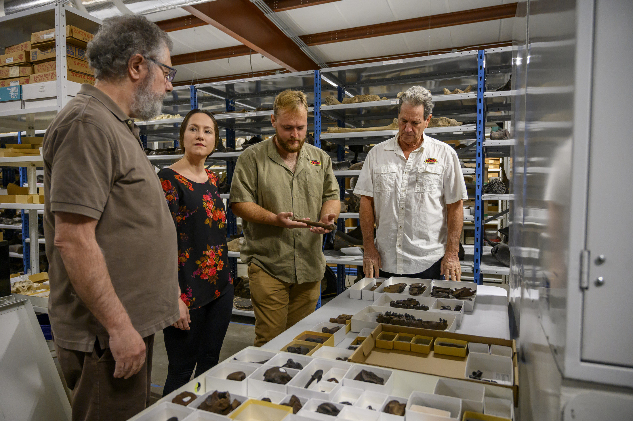 Underwater fossil bed discovered by collectors preserves rare slice of ...