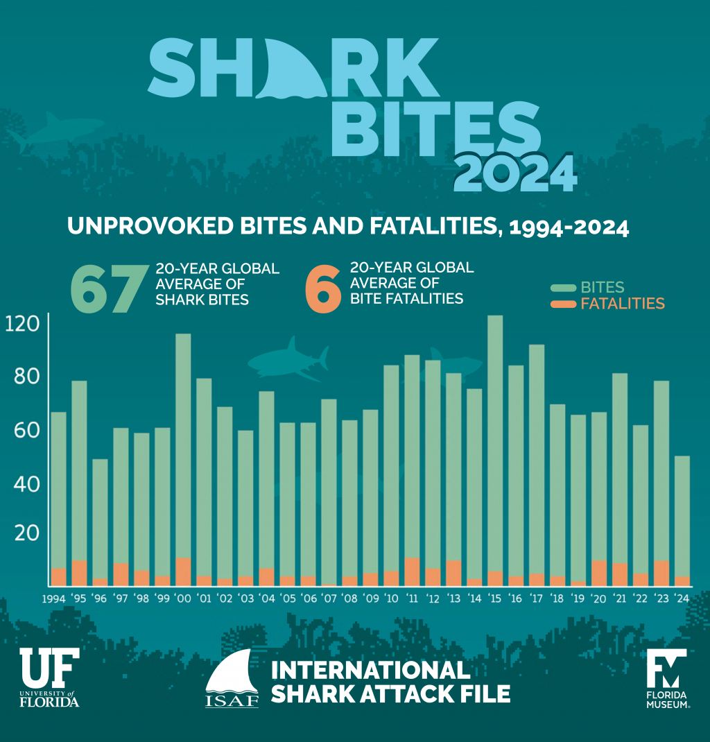 Unprovoked shark bites plummeted in 2024 – Research News