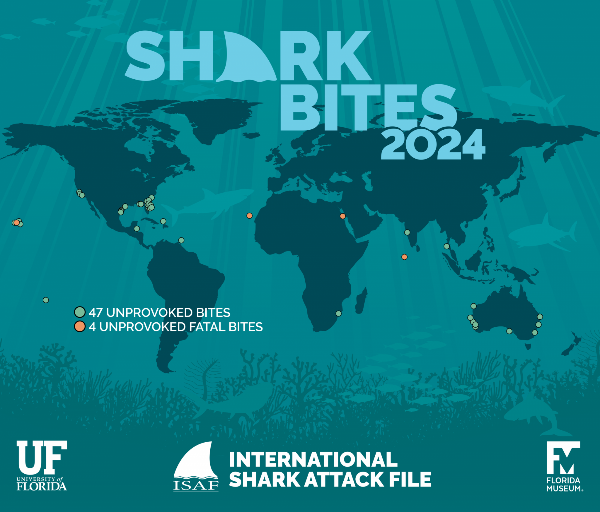 Unprovoked shark bites plummeted in 2024 – Research News