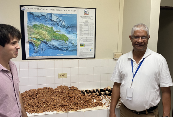 Giant croclike carnivore fossils found in the Caribbean – Research News