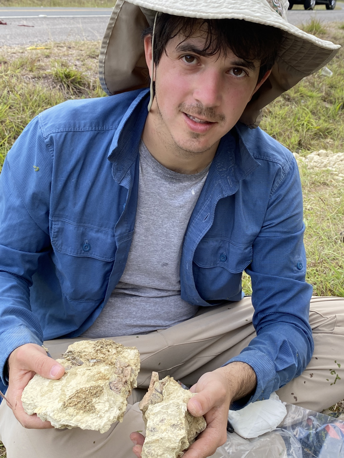 Giant croclike carnivore fossils found in the Caribbean – Research News