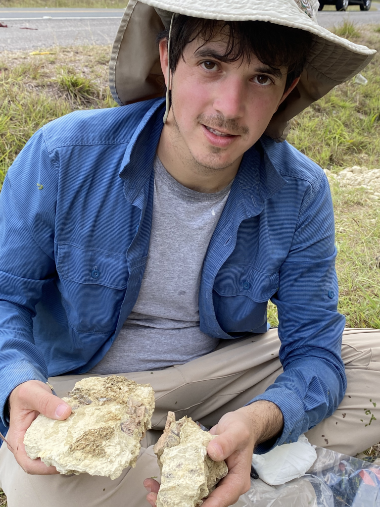 Giant croclike carnivore fossils found in the Caribbean – Research News