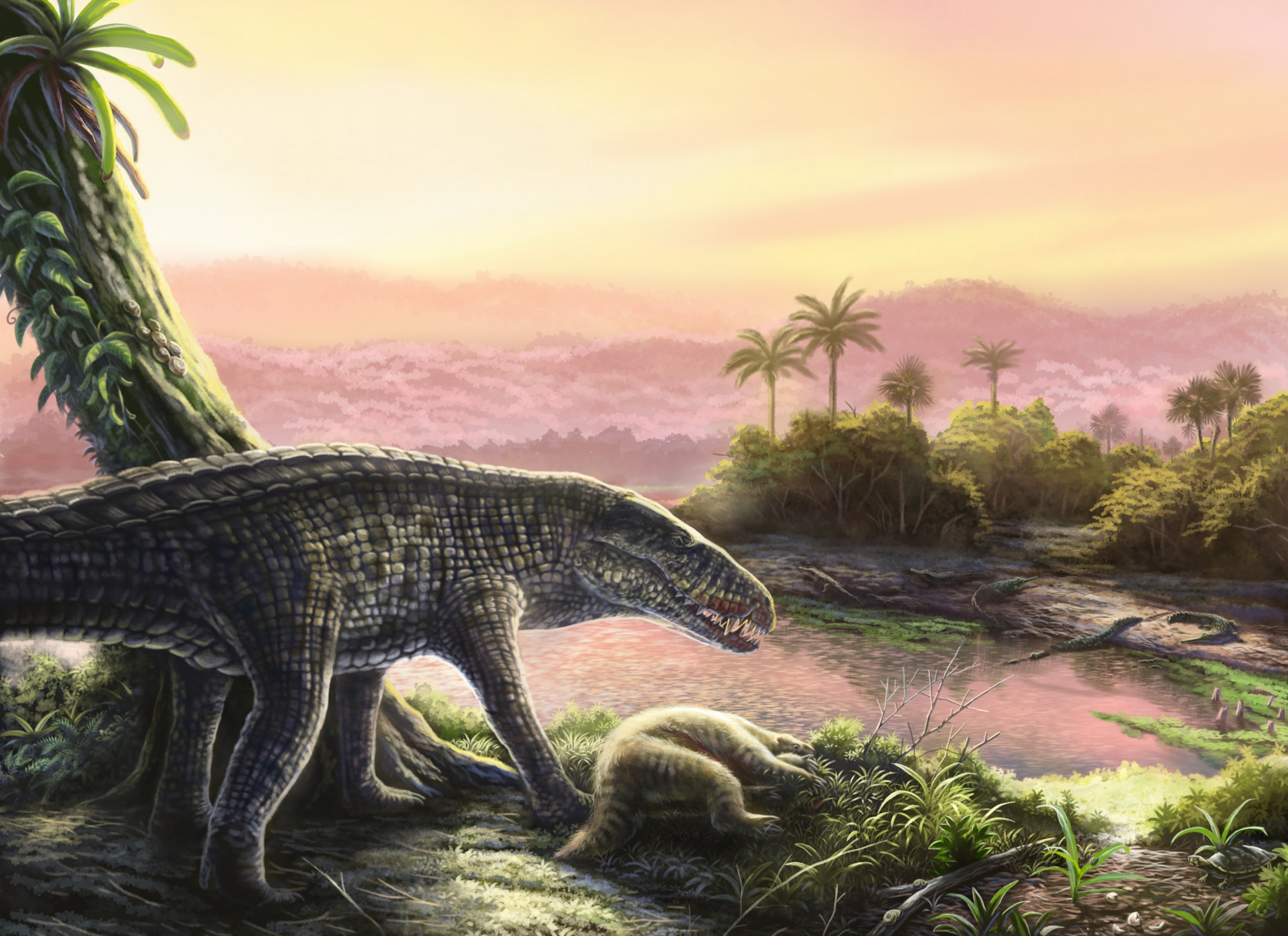 Giant croclike carnivore fossils found in the Caribbean – Research News