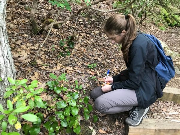 A plant you’ve never heard of can do what scientists once thought ...