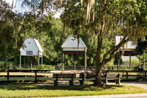 Visit the Bat Houses – University of Florida Bat Houses