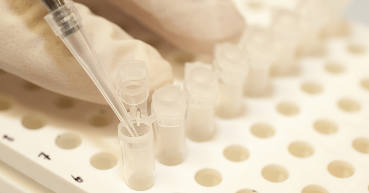 Our Team – Genetic Resources Repository