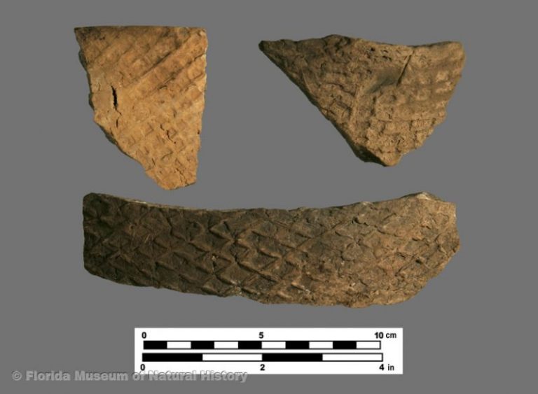 St. Johns Bold Check Stamped – Ceramic Technology Lab