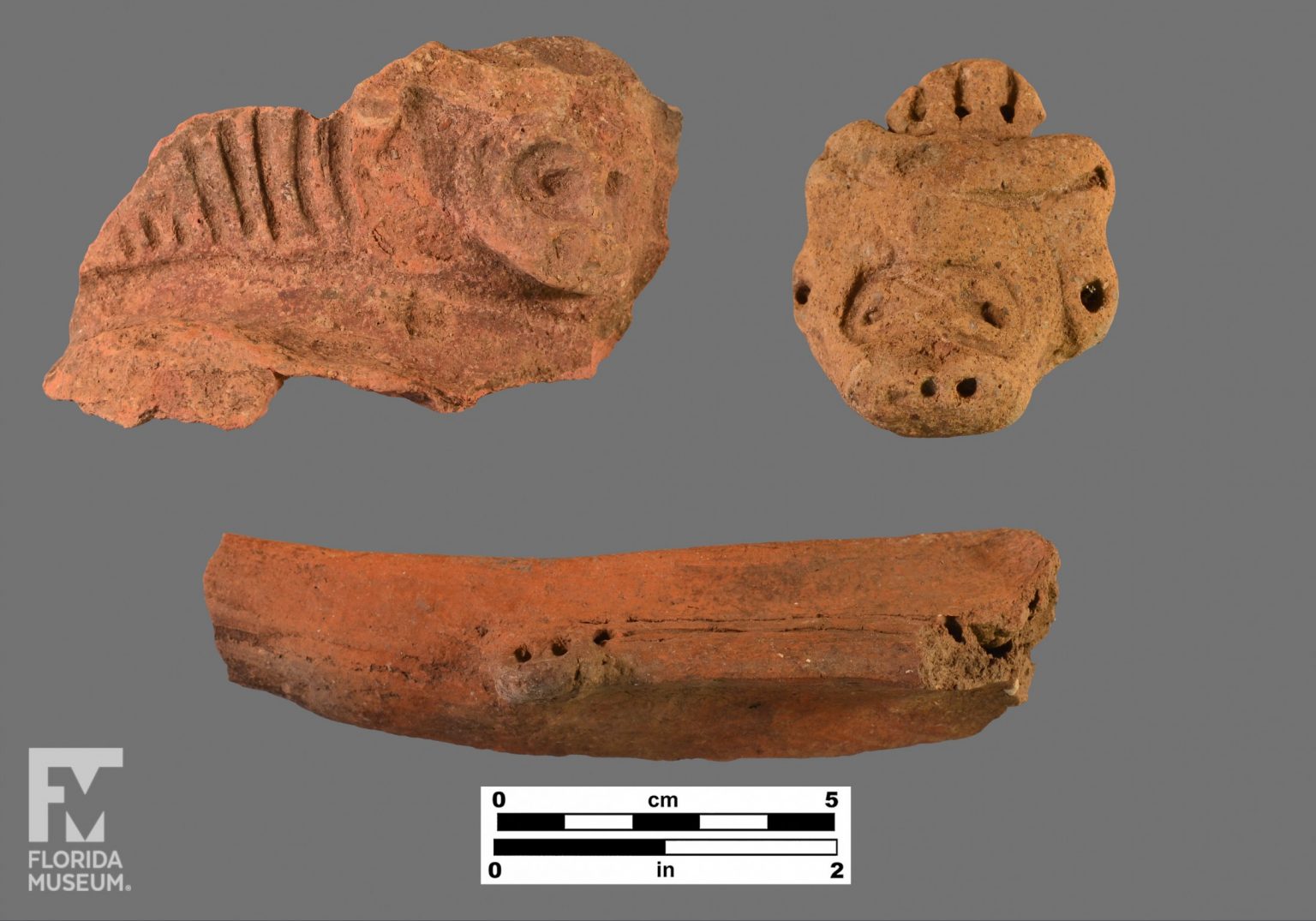 Hispaniola-Chicoid – Ceramic Technology Lab