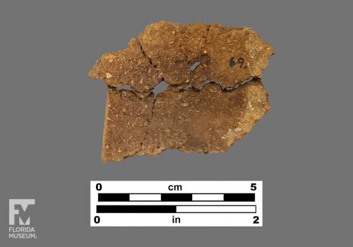 Hispaniola-Meillacoid – Ceramic Technology Lab