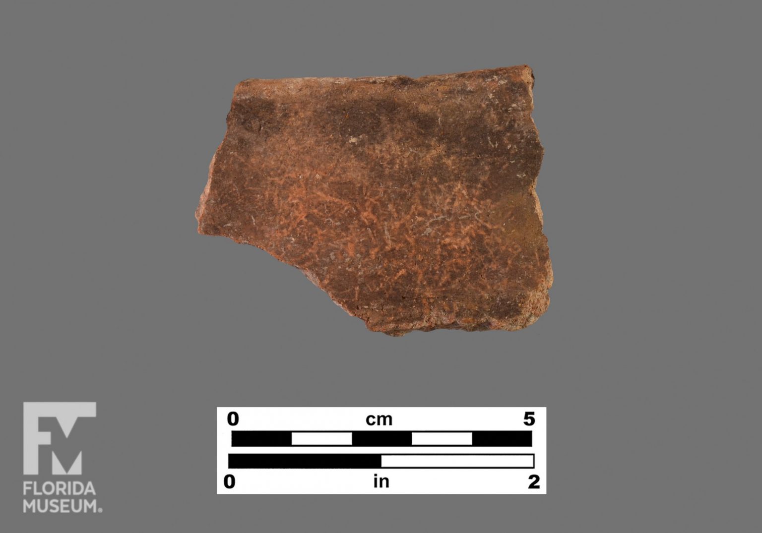 Hispaniola-Unidentified – Ceramic Technology Lab