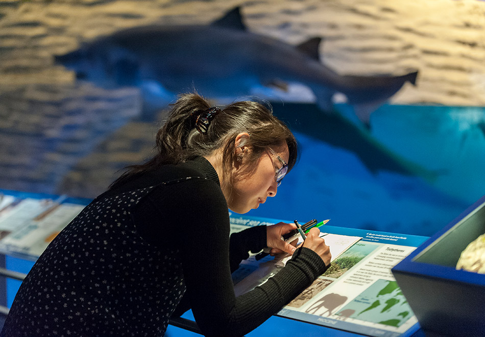 SciArt Meetups: Science Inspires Art (and vice versa) – Events