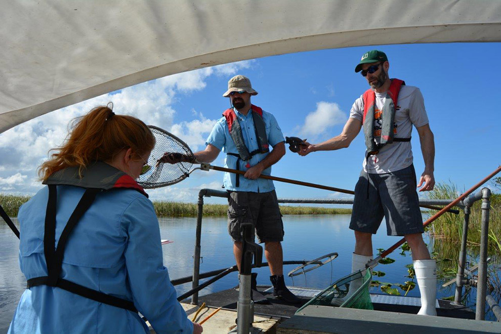 ‘Science OFF Tap’ and Online – Events