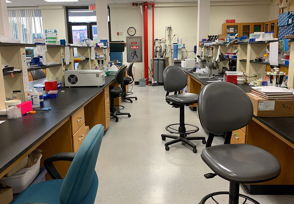 NEA Big Read: Lab Blitz 2020 – Events