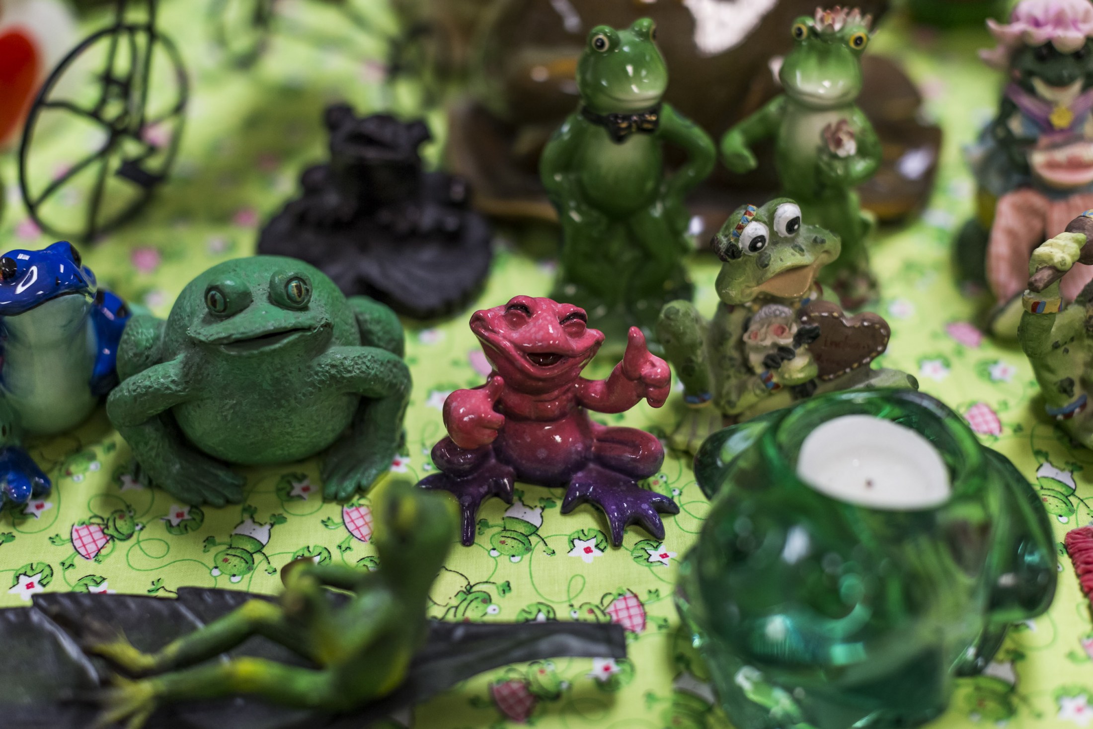 A Celebration of Museums is a Celebration of Collections – Events