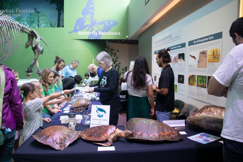 Celebrating Sea Turtle Conservation – Events