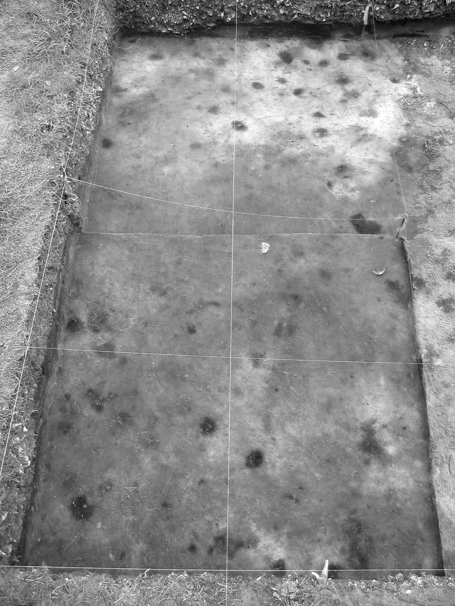 Pits and Postmolds – Randell Research Center