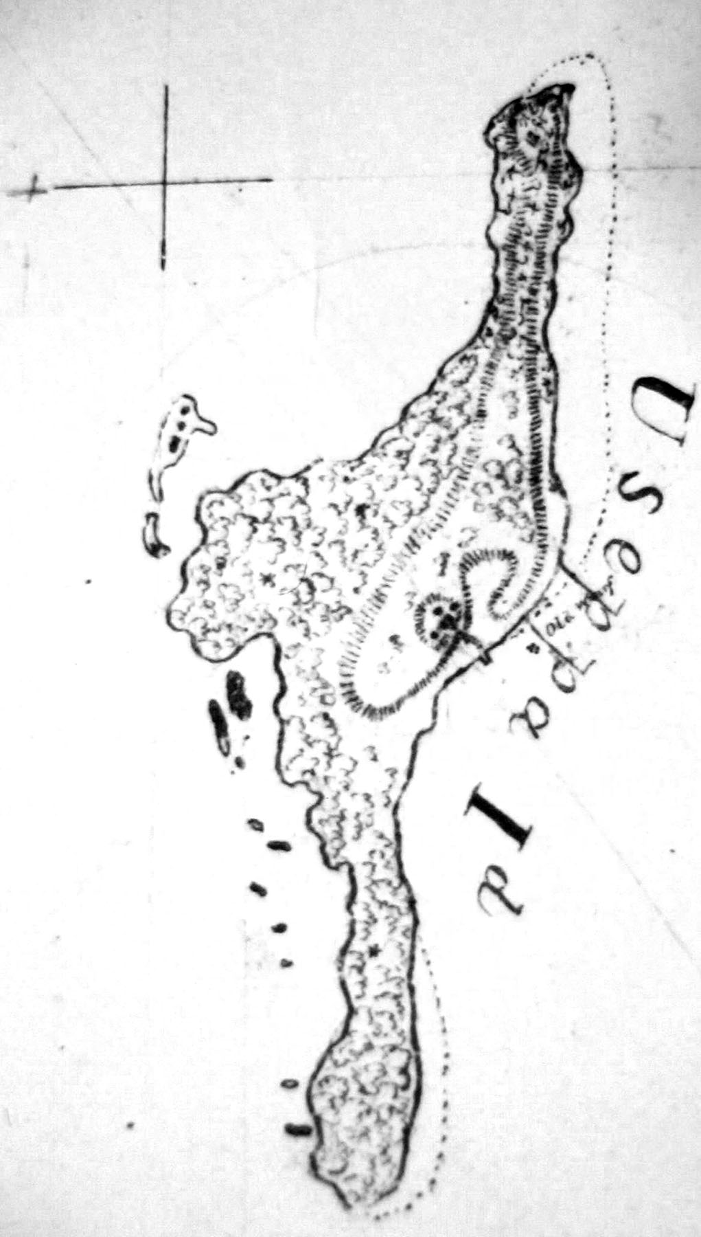 Details Emerge on “Spanish Indians” of Useppa Island – Randell Research ...