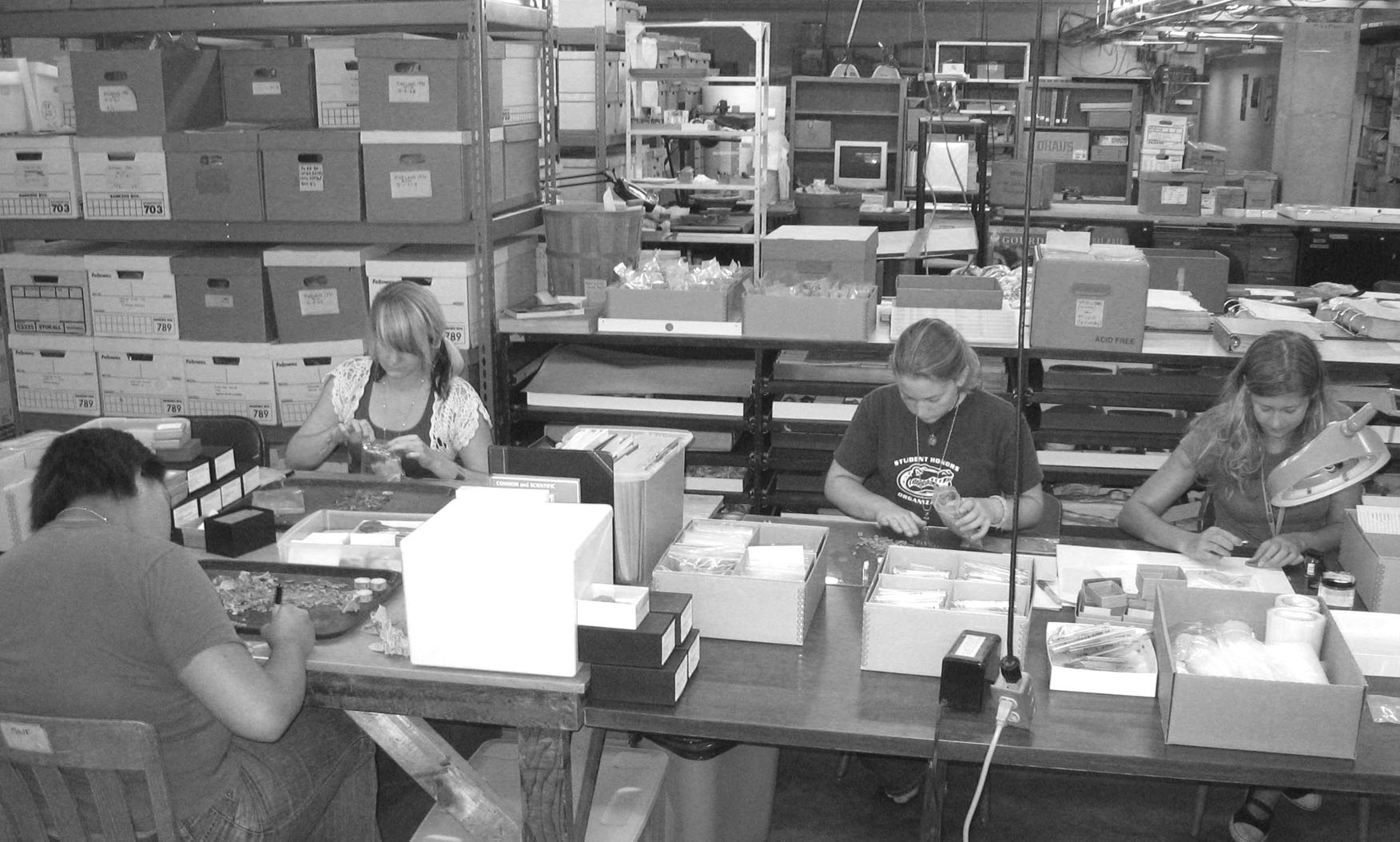 In the Florida Museum Lab – Analysis and Curation – Randell Research Center