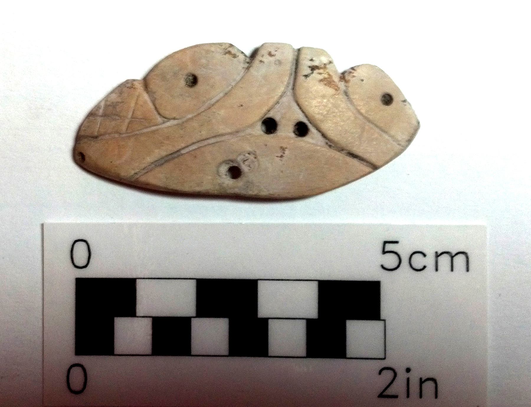 An 800-year-old Mystery – Randell Research Center