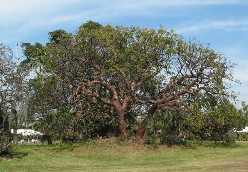 Photo Gallery – Randell Research Center