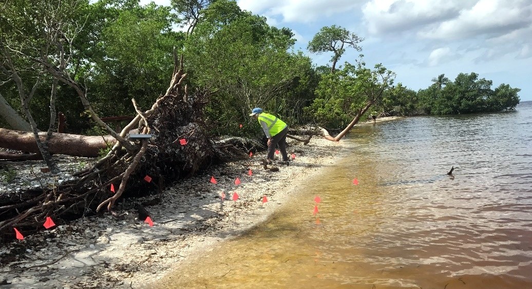 Update: Calusa Island Monitoring – Randell Research Center