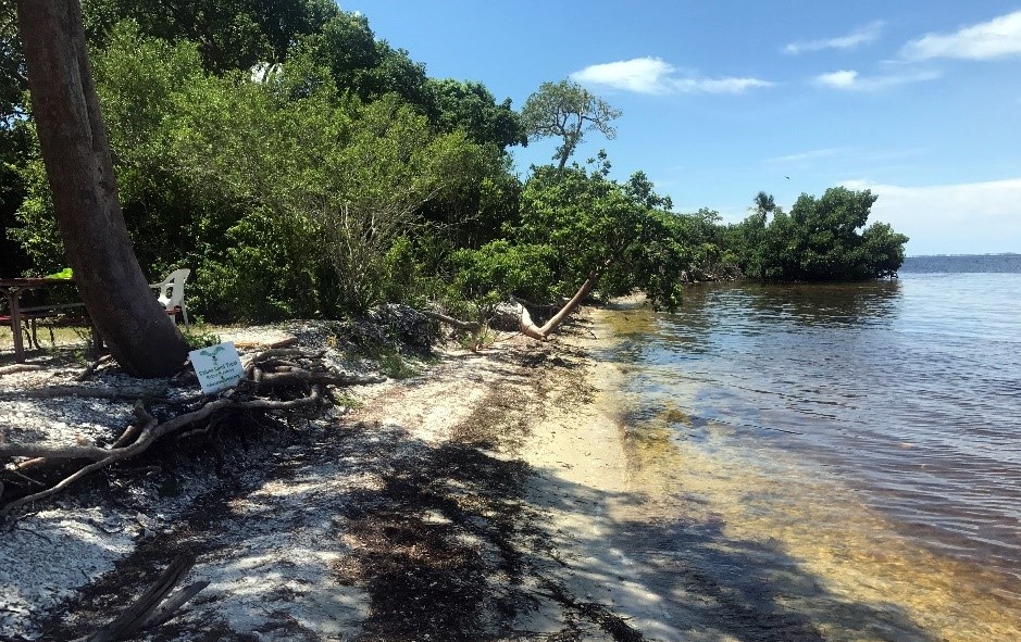 Update: Calusa Island Monitoring – Randell Research Center