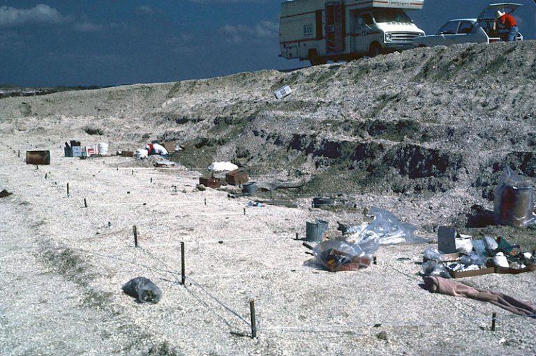 Leisey Shell Pit 1A – Florida Vertebrate Fossils