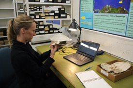 Researchers – Environmental Archaeology