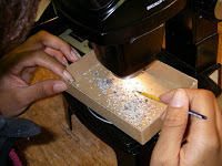 From the Archives: Finding Drill Holes (and Why They Matter!) – Kowalewski Lab