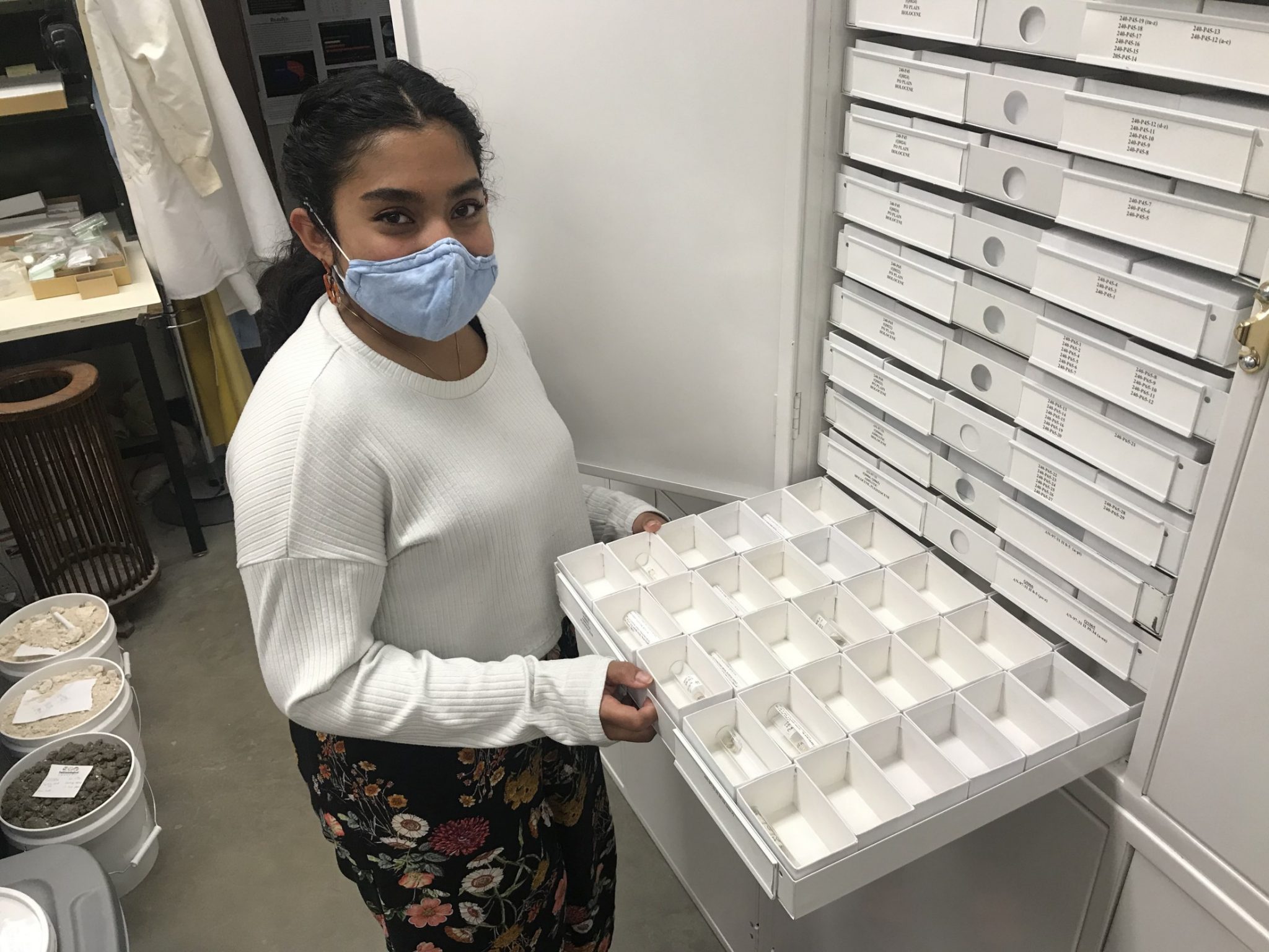 Po Plain Shells Get a New Home at the Florida Museum – Kowalewski Lab