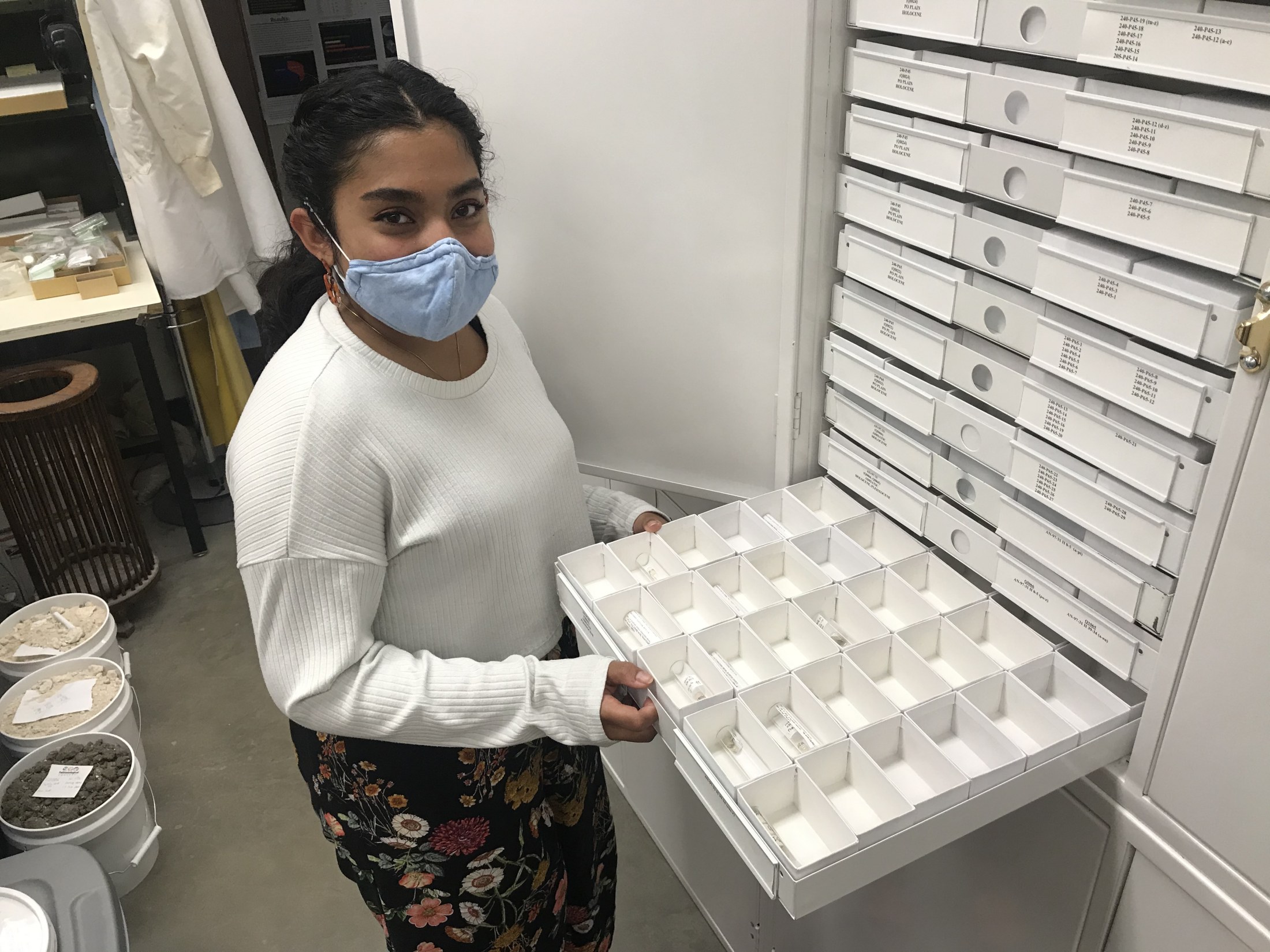 Po Plain Shells Get a New Home at the Florida Museum – Kowalewski Lab