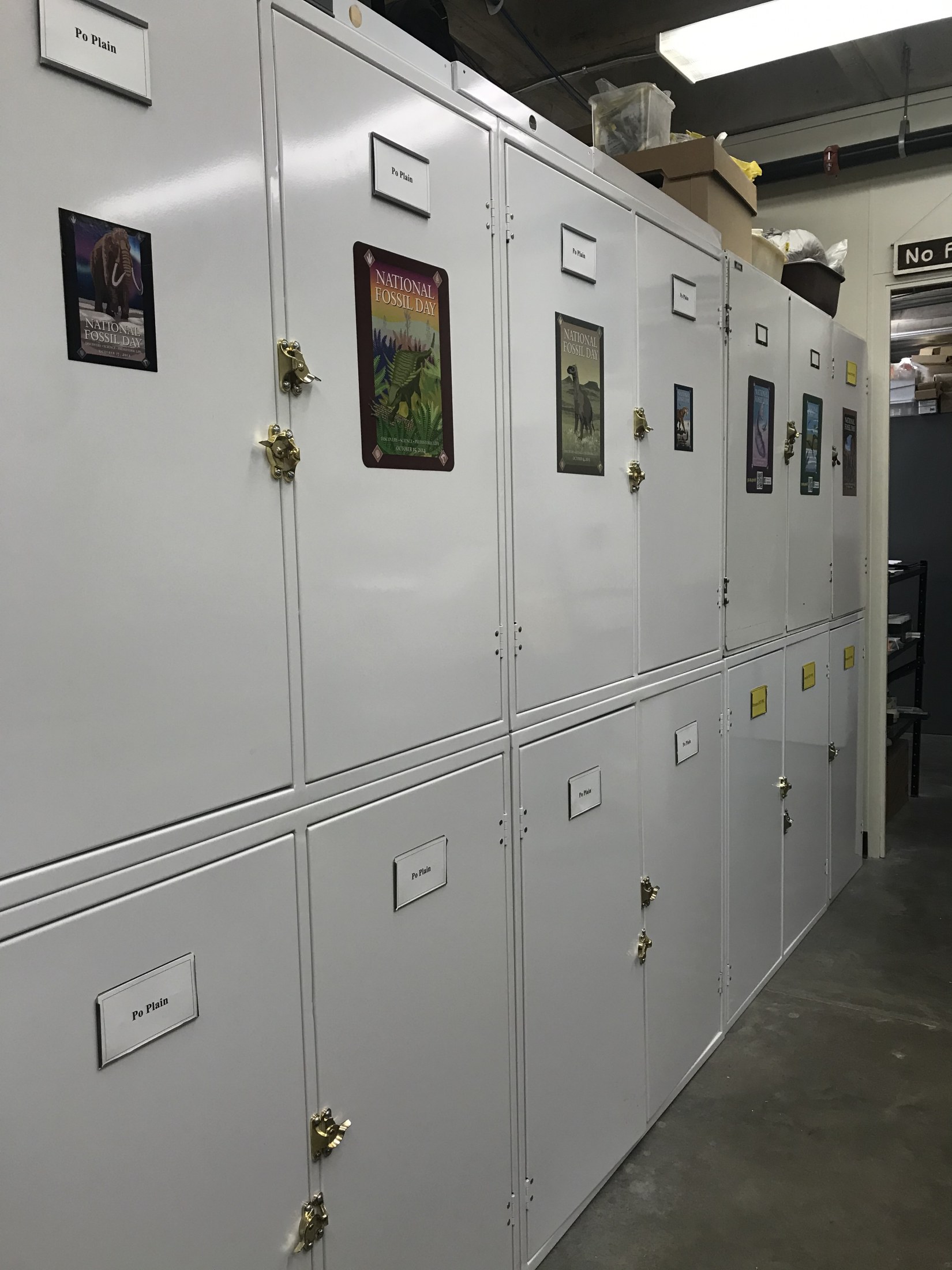 Po Plain Data – Kowalewski Lab