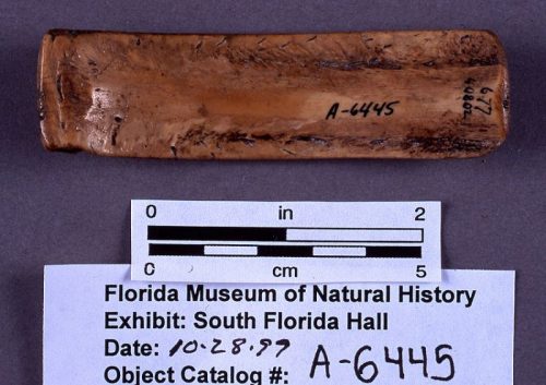 The Key Marco Collection – South Florida Archaeology & Ethnography