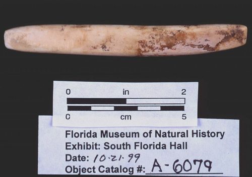 The Key Marco Collection – South Florida Archaeology & Ethnography