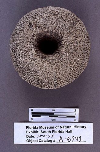 The Key Marco Collection – South Florida Archaeology & Ethnography