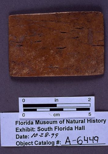The Key Marco Collection – South Florida Archaeology & Ethnography