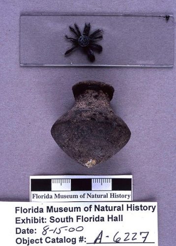 The Key Marco Collection – South Florida Archaeology & Ethnography