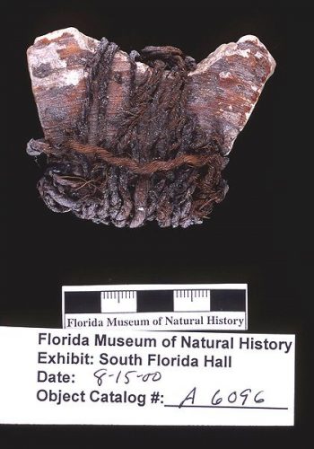 The Key Marco Collection – South Florida Archaeology & Ethnography